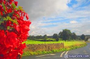 Copy Nook Hotel – Clitheroe – Sugarvine